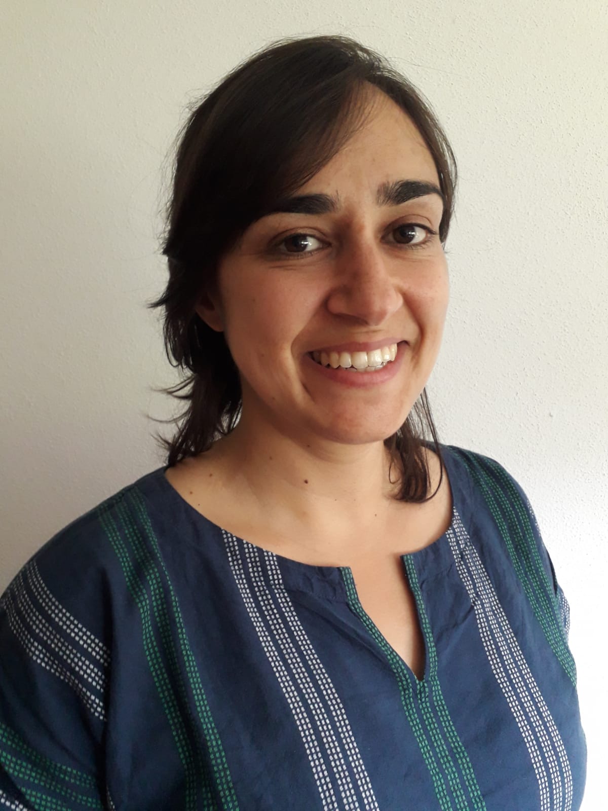 Elif Güzel - Didaktik der Sozialkunde